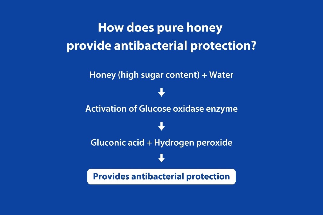 How AnaMel honey works - DTP Medical